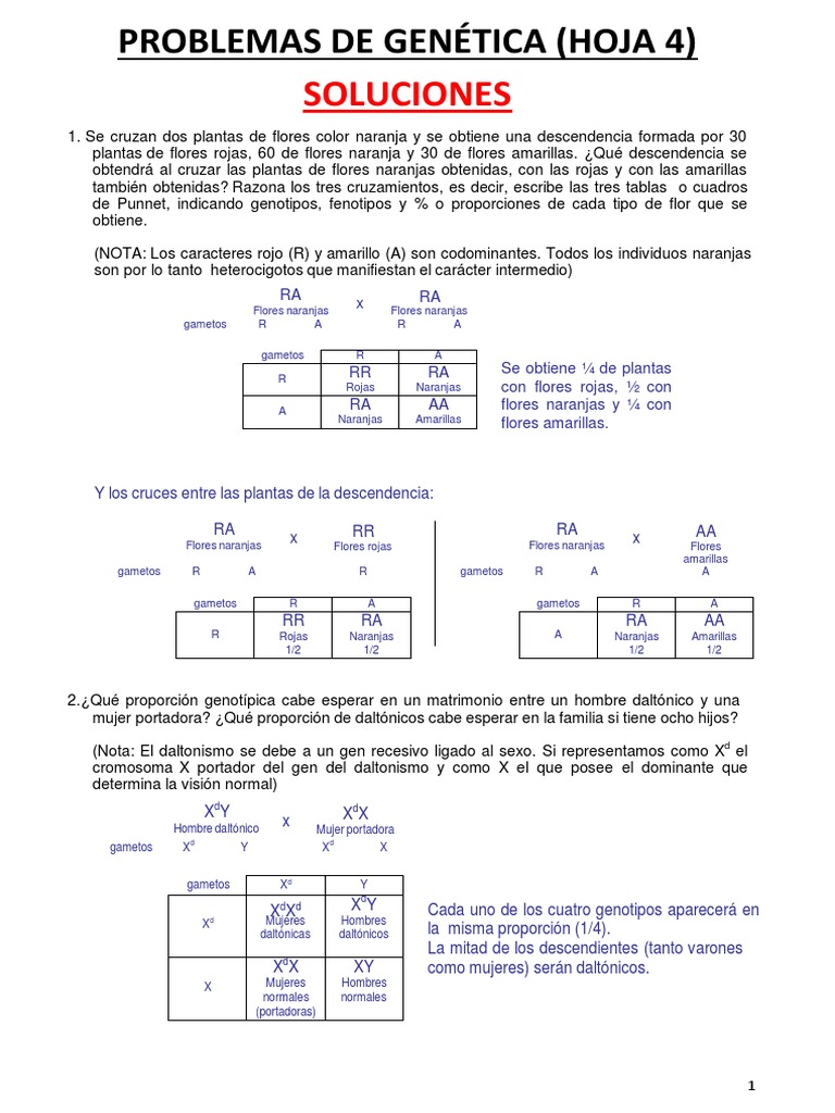 SOLUCIONES Probl de GENETICA (HOJA 4) | PDF