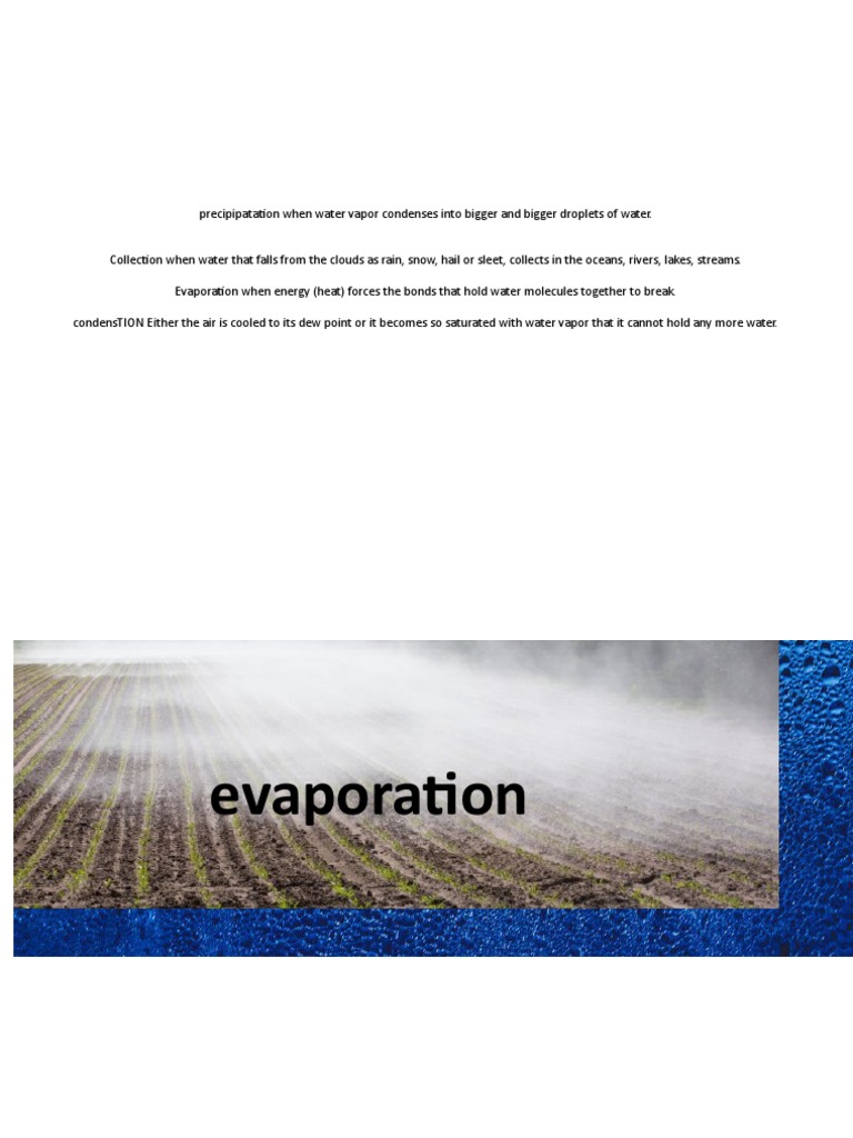 Water Security | PDF