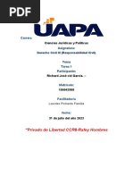Pensum de Derecho Uapa | PDF | Información del gobierno | Gobierno