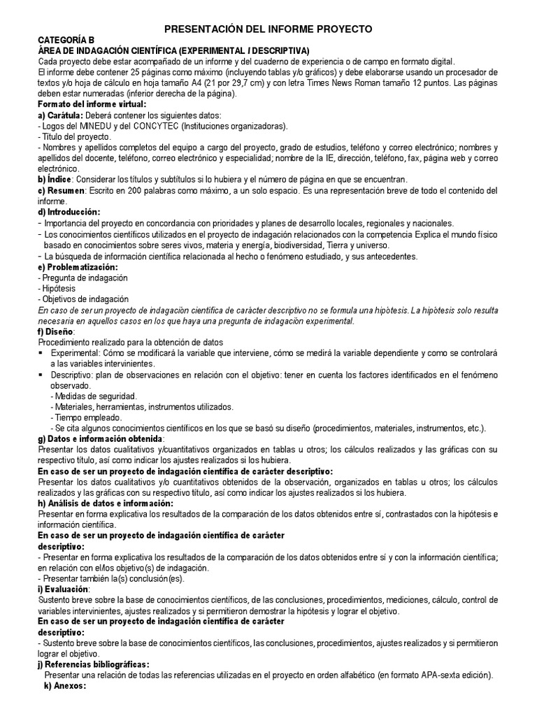 Presentación Del Informe Proyecto2 | PDF