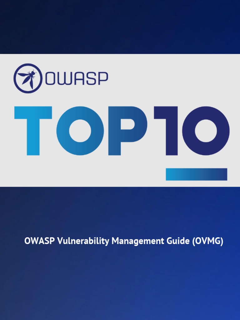 OWASP Vulnerability Management Guide | PDF
