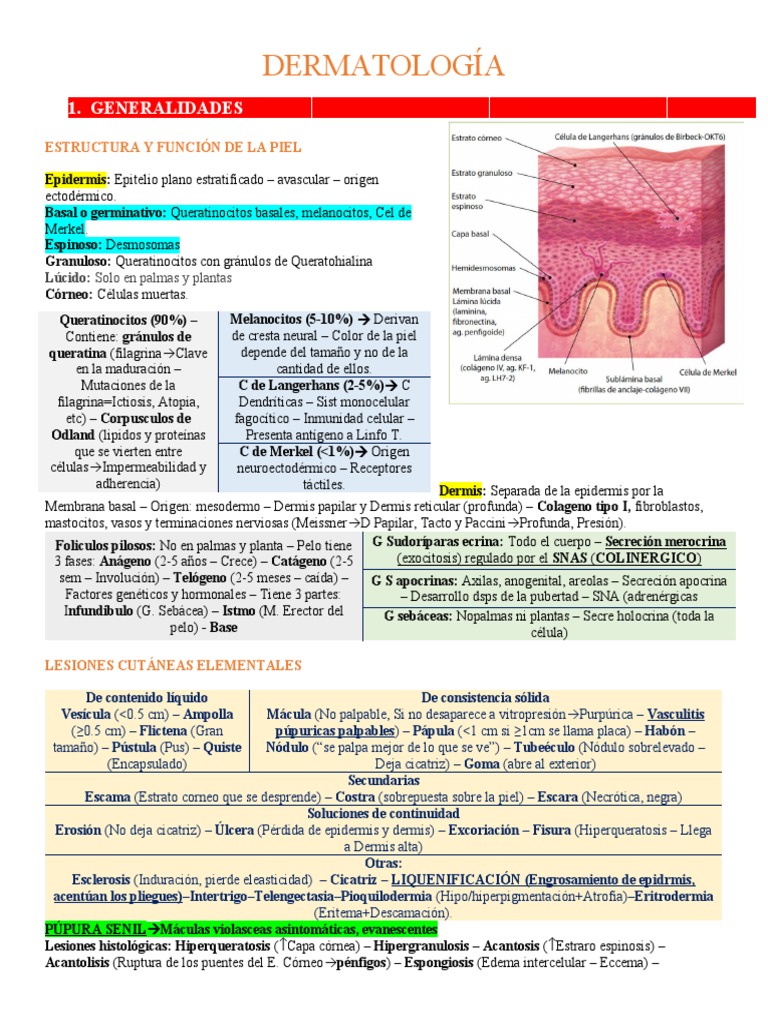 Mi Resumen MIR Dermatología | PDF | Psoriasis | Perdida de cabello