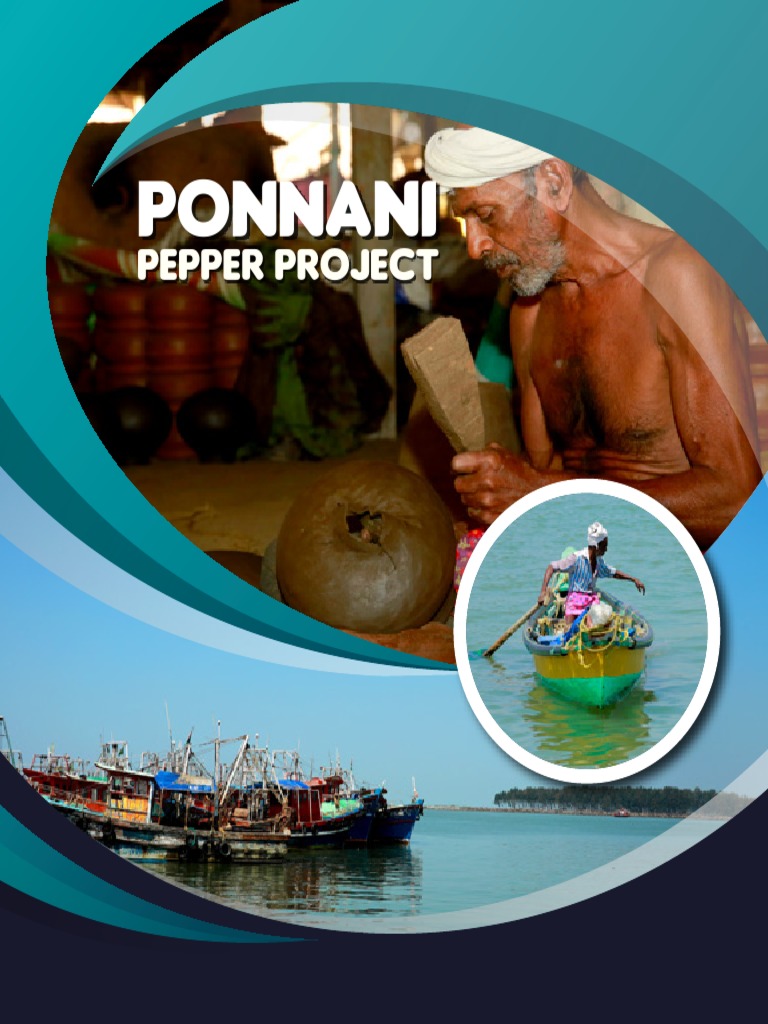 Ponnani Pepper Project | PDF