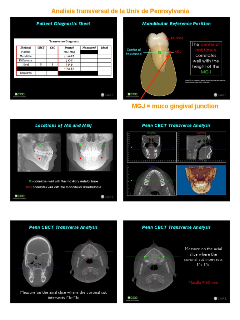 Penn CBCT Transverse Analysis Overview | PDF | Dentistry | Dentistry ...