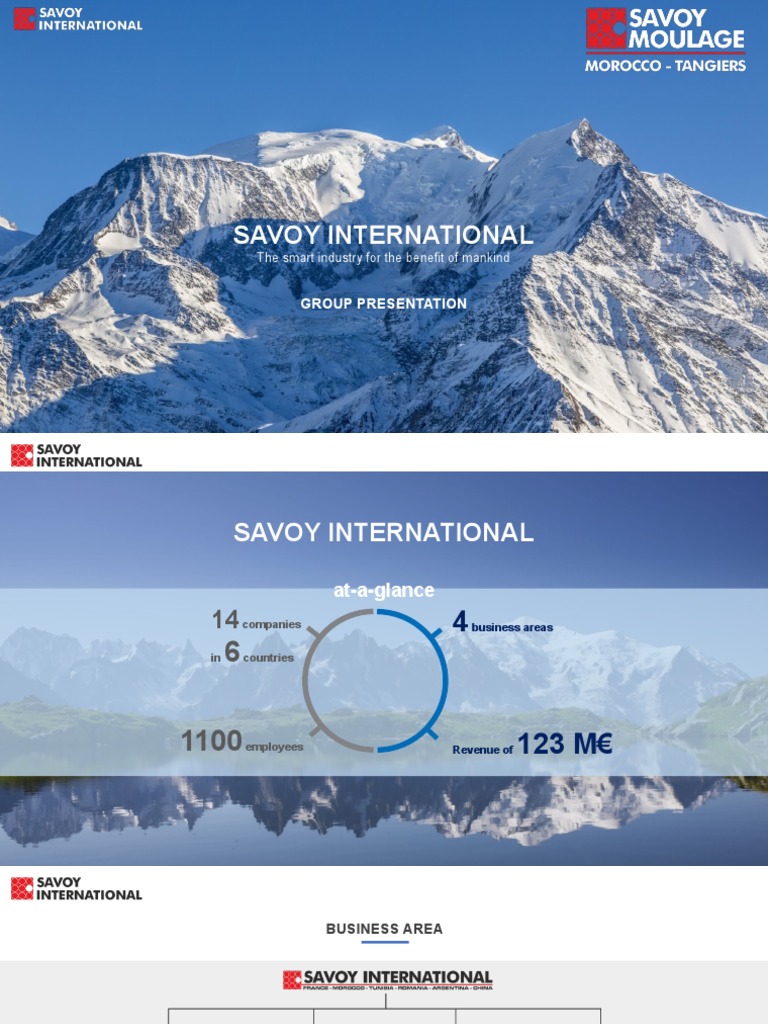 SMM Presentation | PDF | Physical Sciences