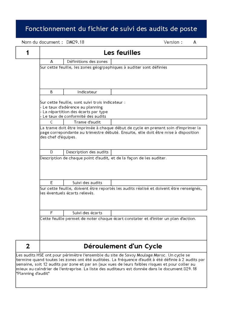 DM29.18 Grille D'audit HSE Et Suivi | PDF
