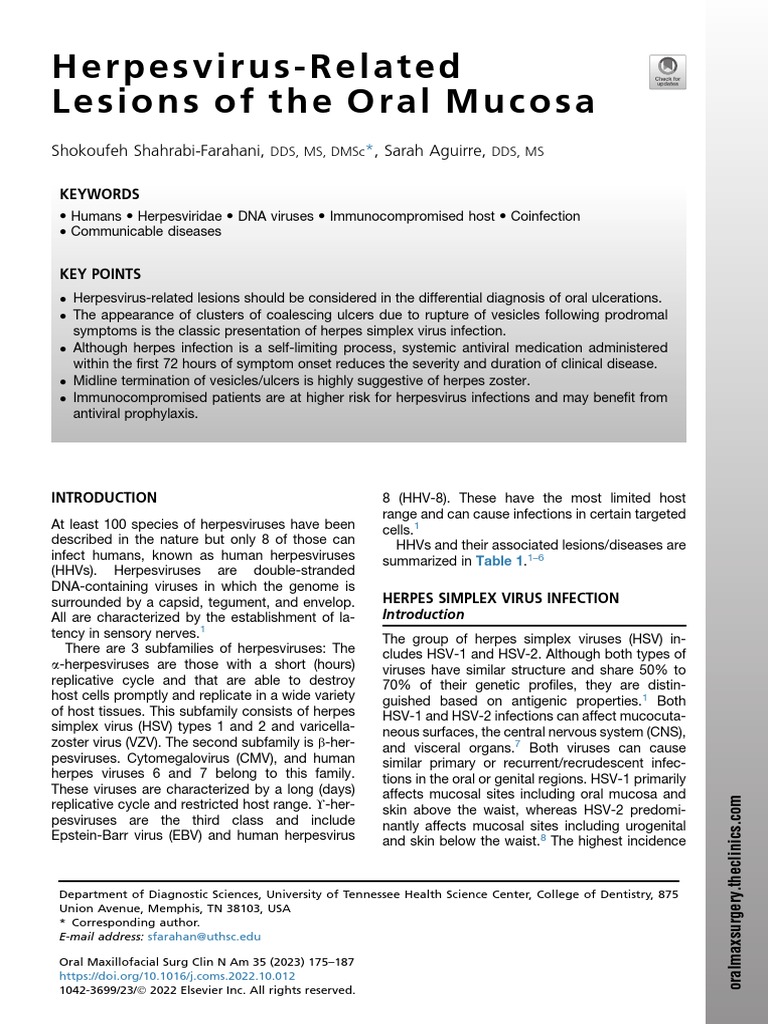 Herpesvirus-Related Lesions of the Oral Mucosa Shokoufeh 2023 | PDF