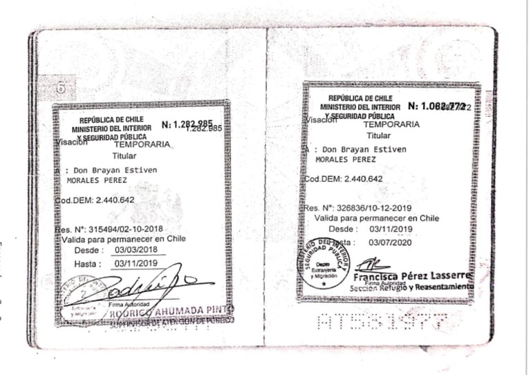 HOJA VISA ESTAMPADA. Brayan | PDF