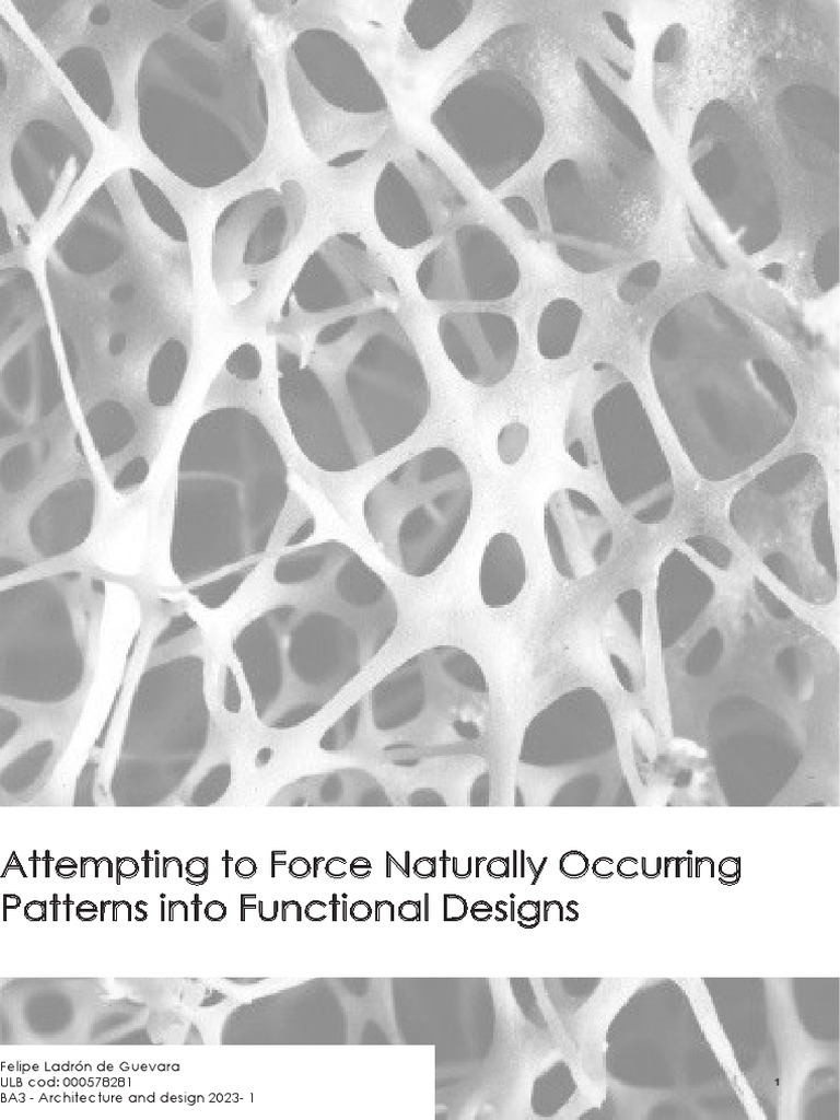 Attempting To Force Naturally Occurring Pattern Into Functional Designs ...