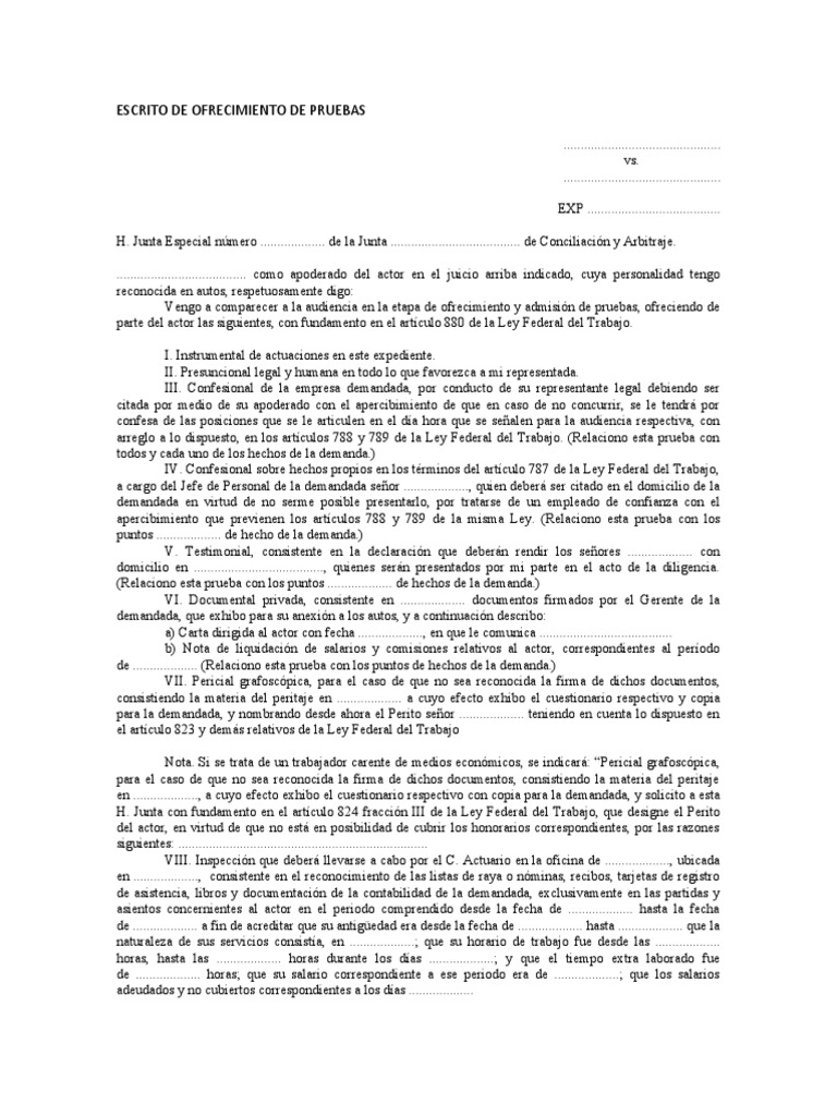 Escrito de Ofrecimiento de Pruebas | PDF | Derecho | Tecnología