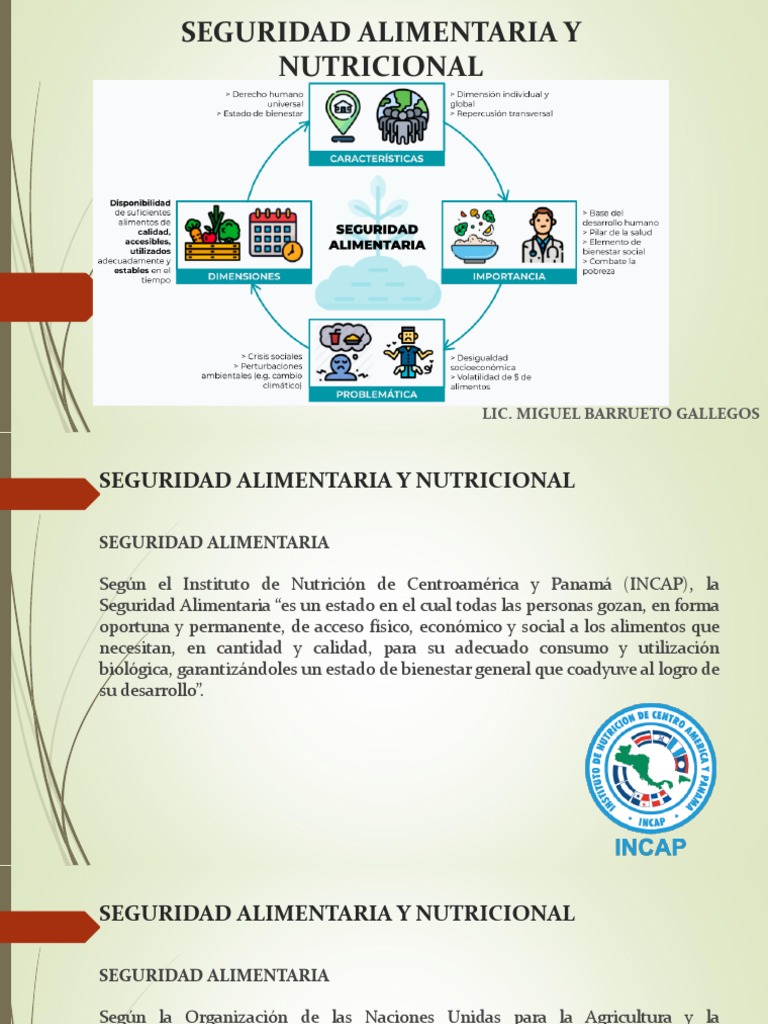 Seguridad Alimentaria y Nutricional | PDF | Seguridad alimentaria ...