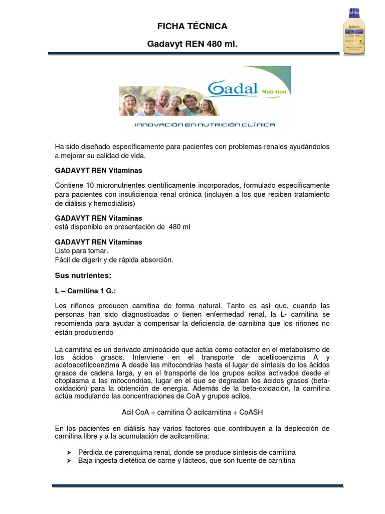 Ficha Técnica Gadavyt Ren Pdf