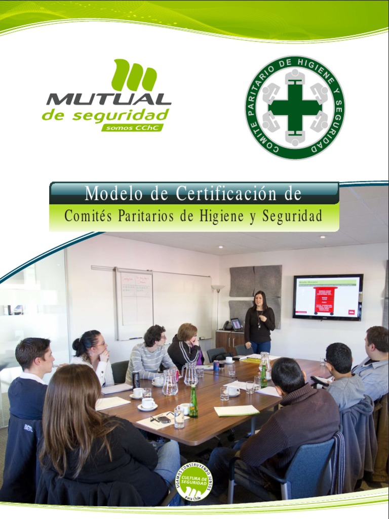 Comite Paritario | PDF | Seguridad y salud ocupacional | Auditoría