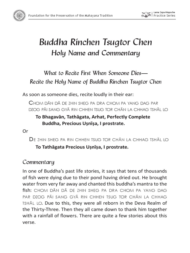 Buddha Rinchen Tsugtor Chen (Holy Name and Commentary) | PDF | Indian Religions | Indian Philosophy