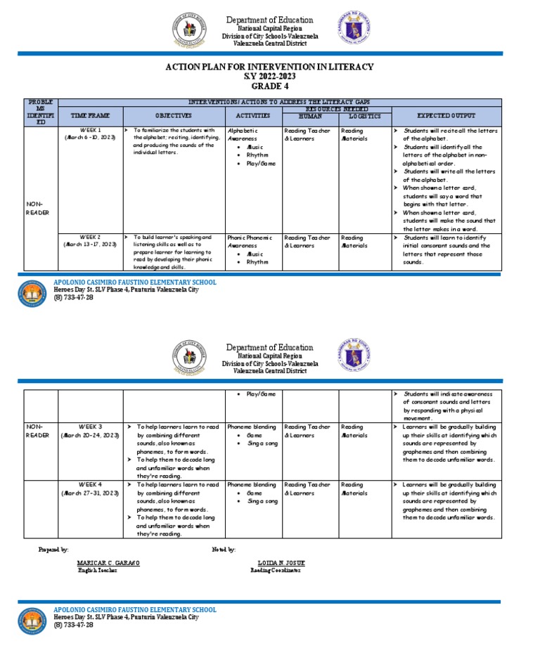 Action Plan Literacy | PDF