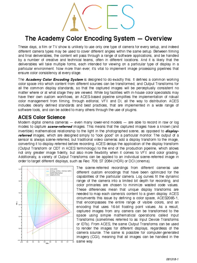 ACES Overview Summary | PDF