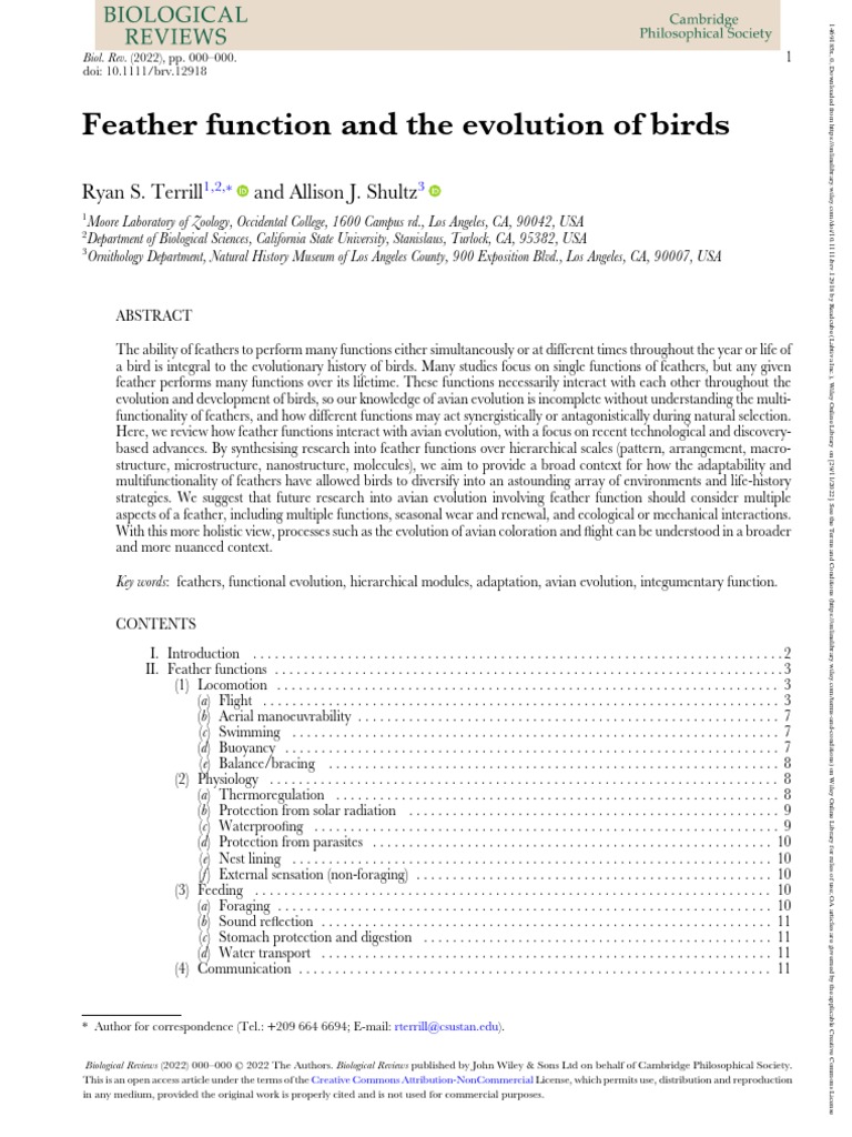 Feather Function and The Evolution of Birds | PDF | Feather | Birds