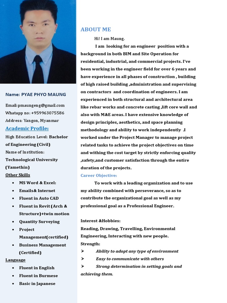 PPM CV Senior Site Engineer Myanmar | PDF | Engineer | Business