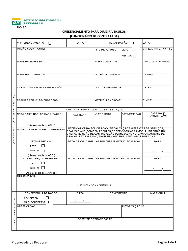 ACV - FORMULÁRIO Modelo | PDF