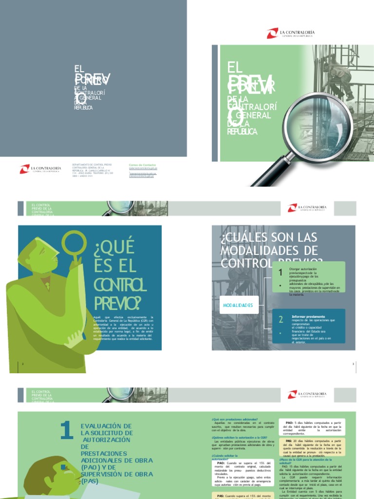 4 Informe-Previo | PDF | Gobierno