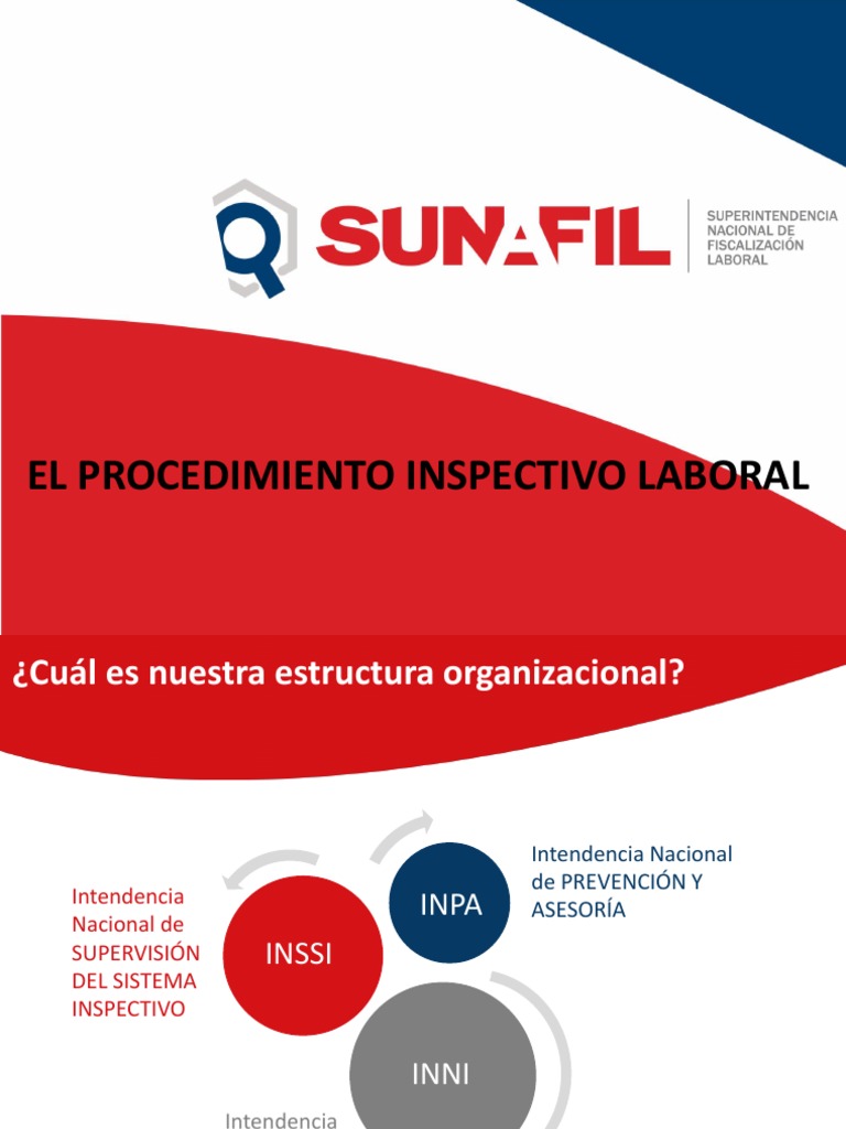Sunafil - Procedimiento Inspectivo 16 | PDF