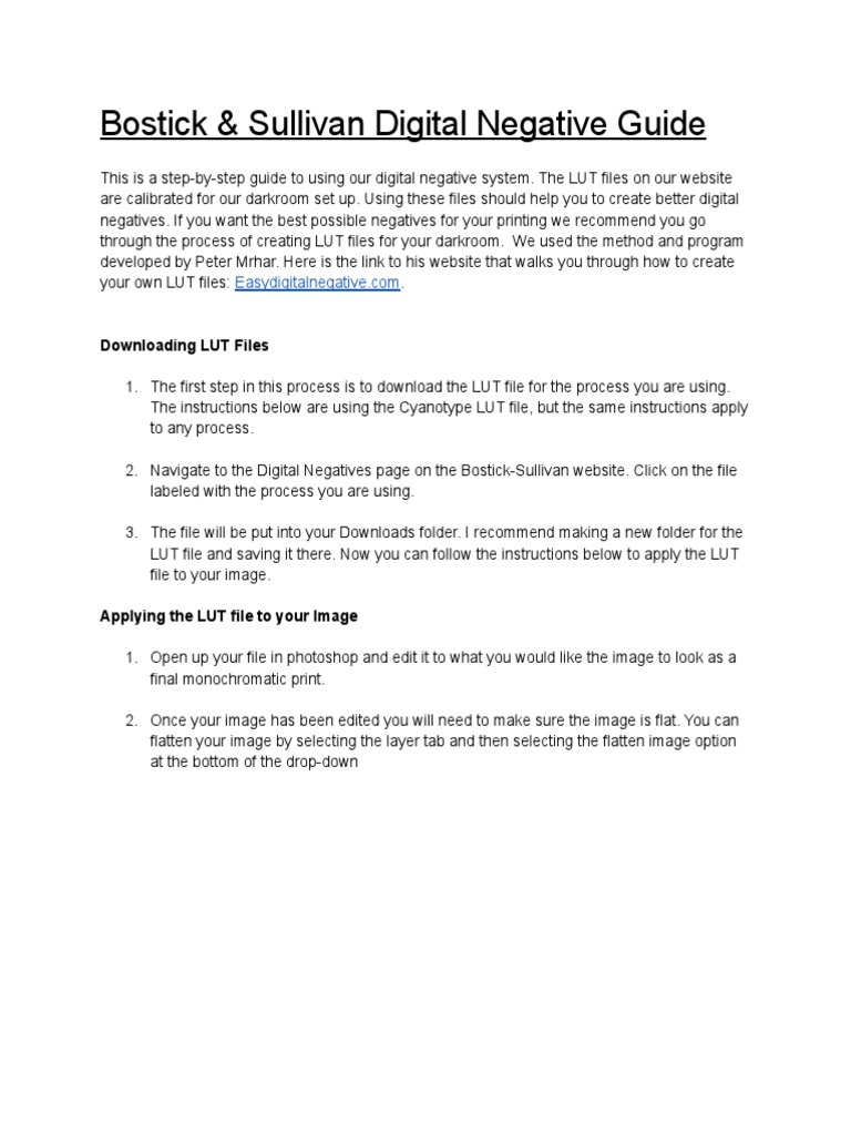 Step by Step Guide To Digital Negatives 1 | PDF