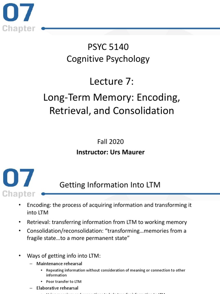 5140 L7 ch7 LTM II | PDF | Recall (Memory) | Memory
