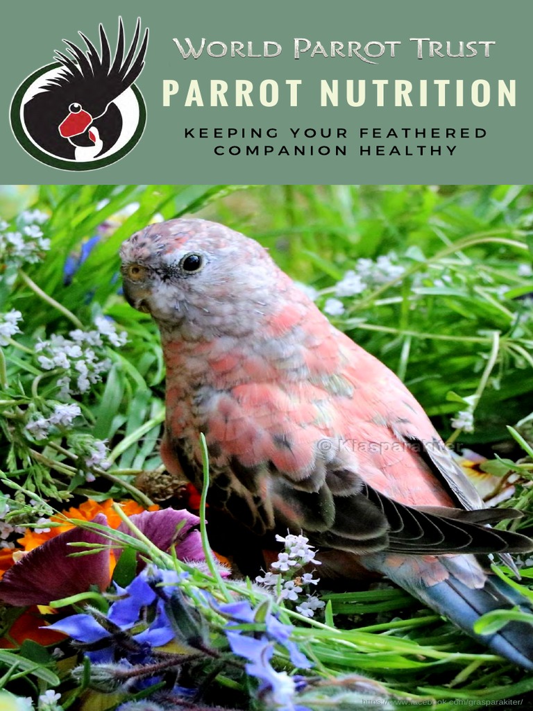 WPT Parrot Nutrition Guide | PDF | Parrot | Fruit