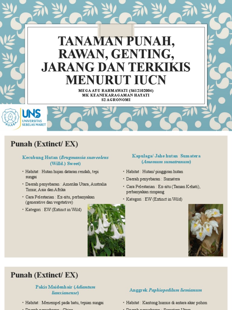 Mega Ayu Rahmawati - KEHATI KATEGORI | PDF