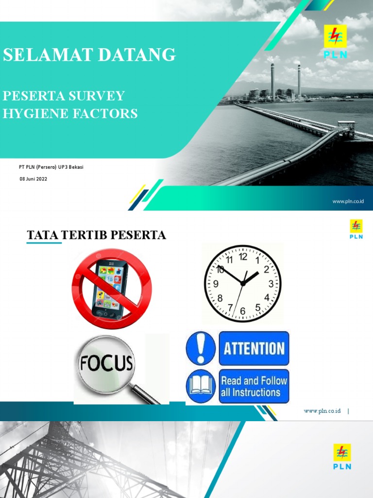 Hygiene Factor | PDF