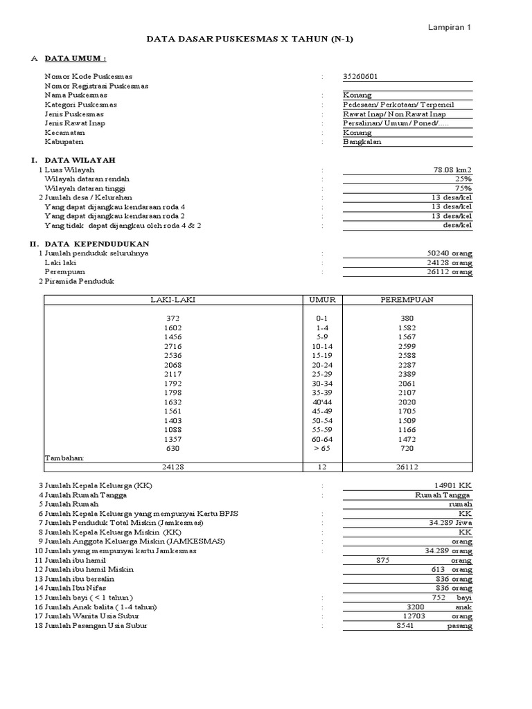 DATA DASAR PUSKESMAS | PDF