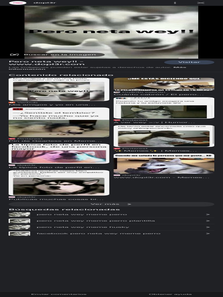 Pero Neta Wey Meme - Buscar Con Google | PDF | Comunicación humana ...