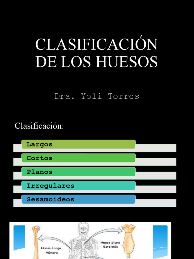 Clasificación de Los Huesos | PDF