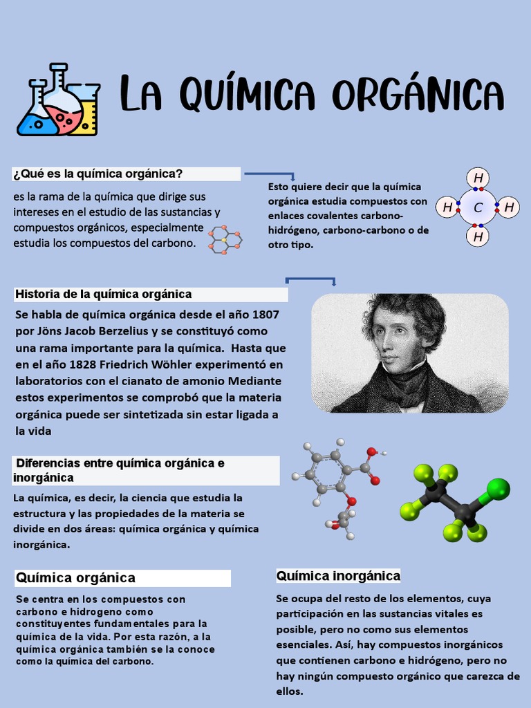 Infografia Quimica Organica | PDF