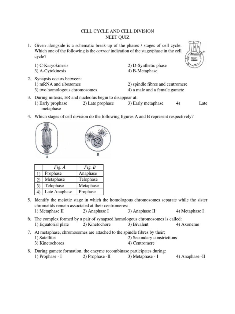 Neet Quiz Cell Division 2022 | PDF | Meiosis | Mitosis