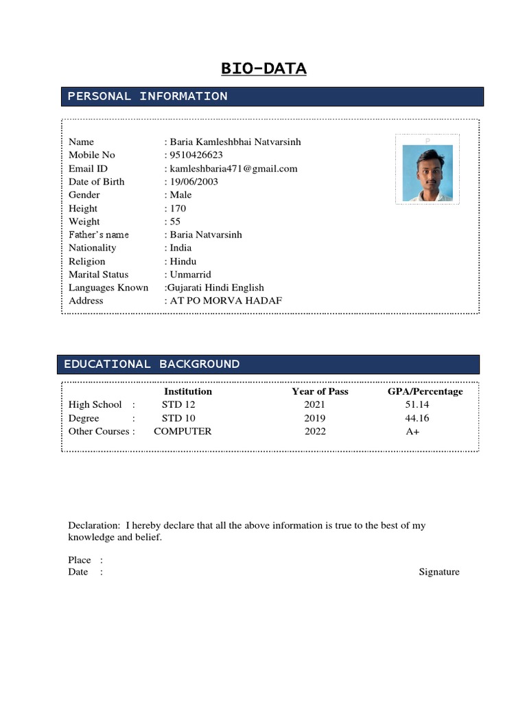 Biodata in Word | PDF
