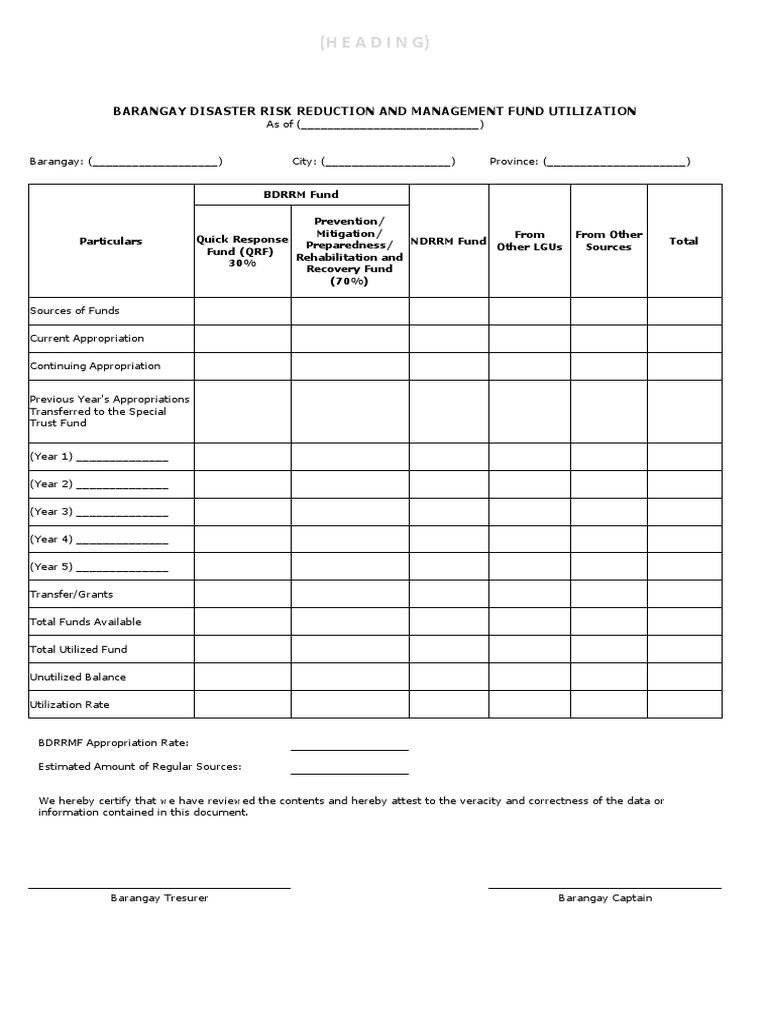 BDRRM Template | PDF | Finance & Money Management