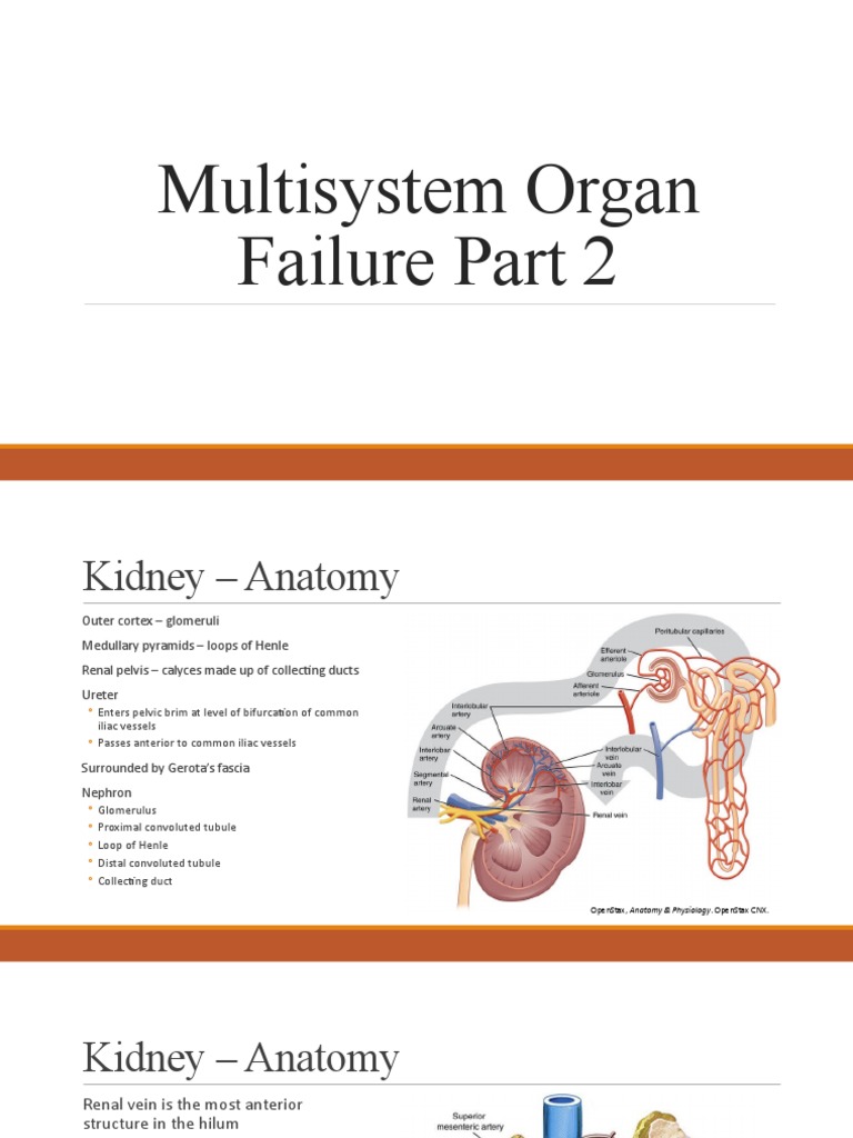 Multisystem Organ Failure 2 | PDF