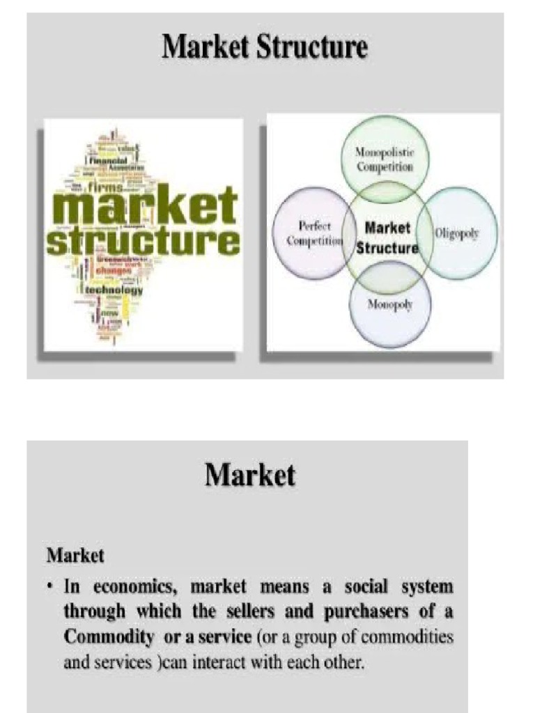Market Morphology | PDF