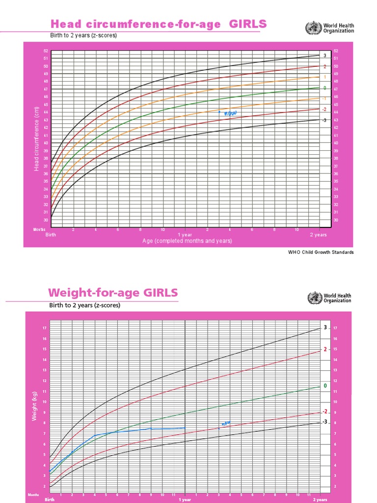 Who Growth Chart Girls - Birth To 2 Years | Download Free PDF | Body ...