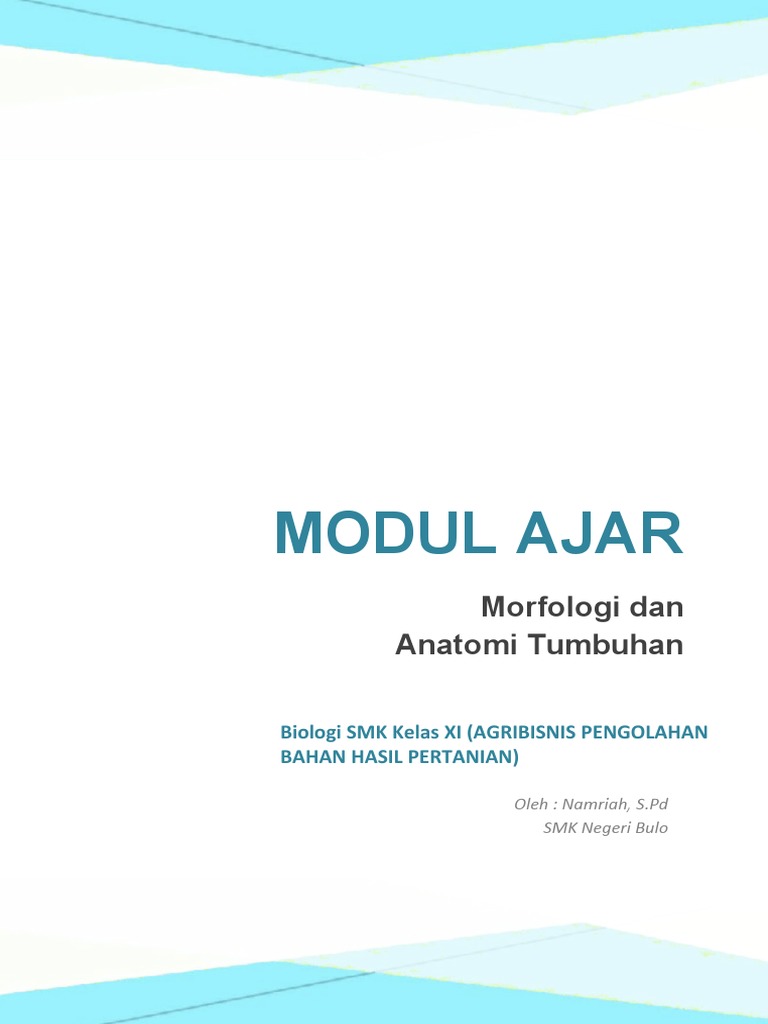 Modul Ajar Biologi - Morfologi Dan Anatomi Tumbuhann | PDF