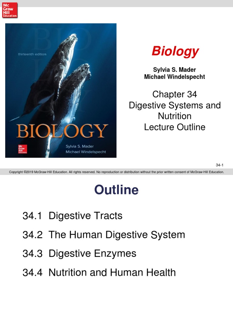 CH 34, Digestive Systems and Nutrition | PDF | Stomach | Carbohydrates