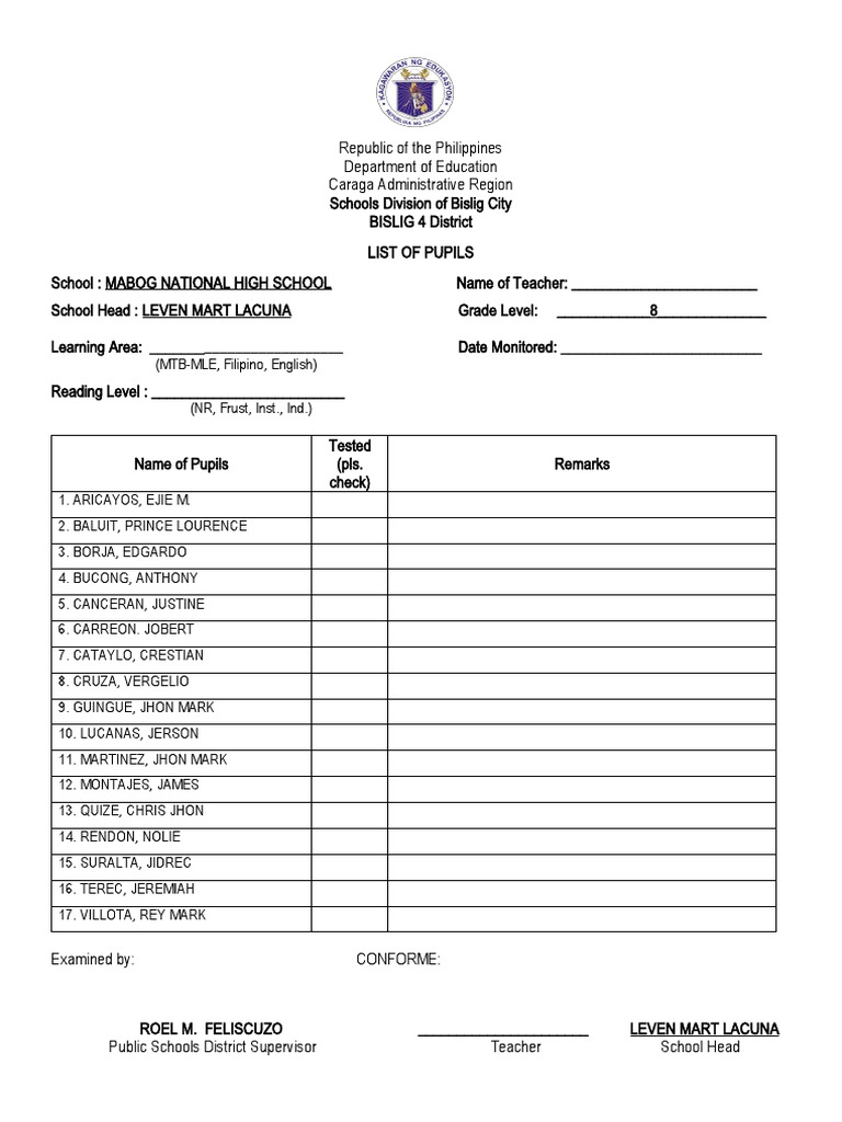 M E Tool LRP Implementation Annex A Literacy | PDF