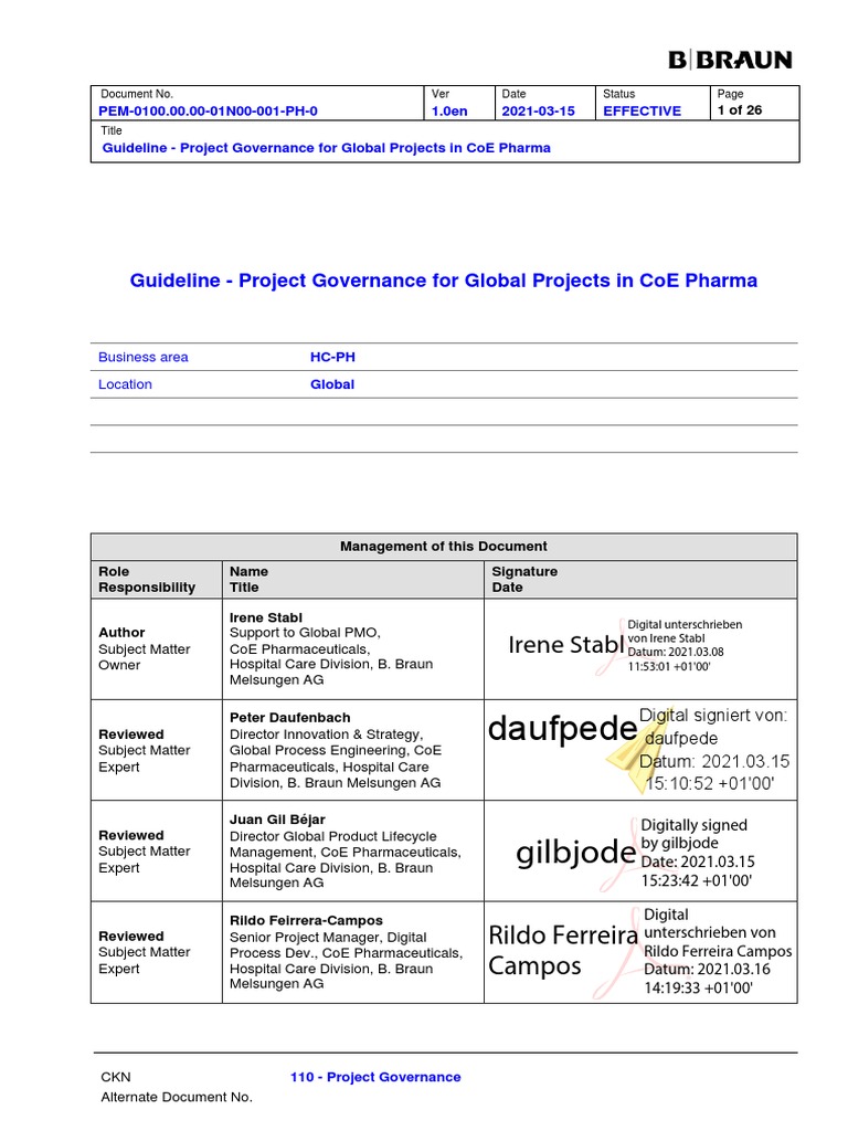 Guideline - CoE PH Project Governance | PDF