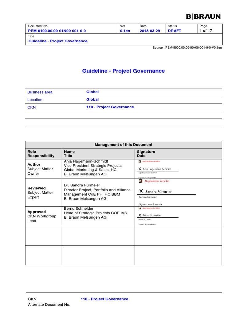 Guideline - Project Governance | PDF