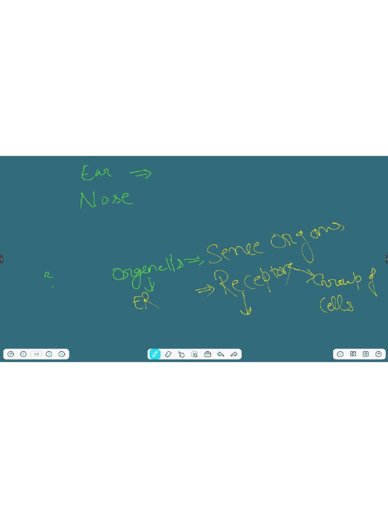 Class Notes 10 Pdf