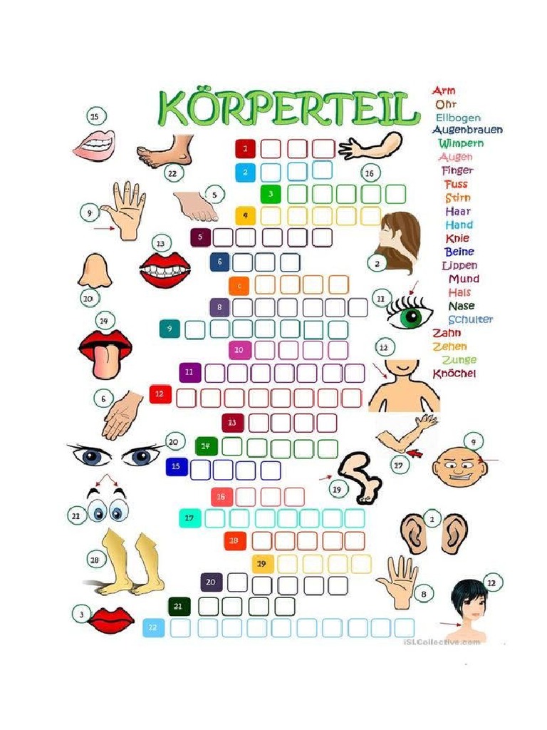 Testrészek - Német | PDF