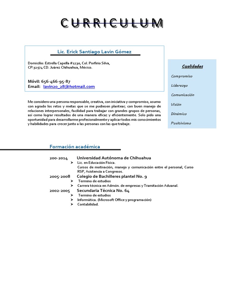 Cv Erick Lavin | PDF
