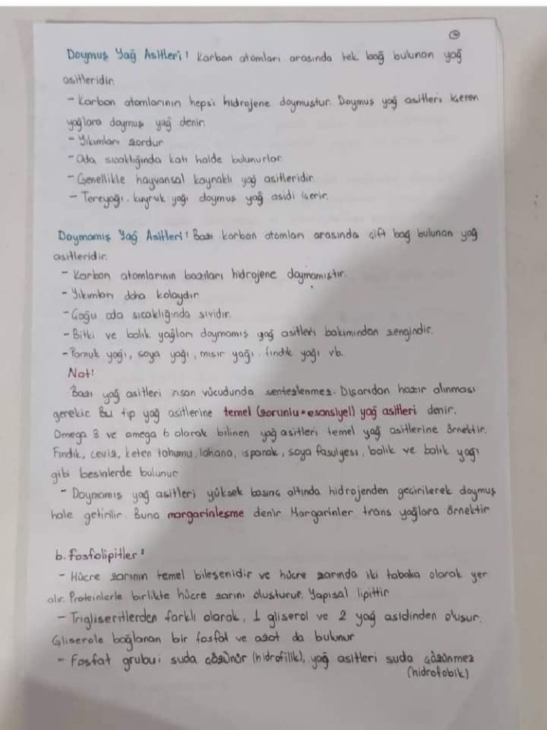 9.sinif Biyoloji Dersi Amino Asitler Proteinler Ders Notlari | PDF