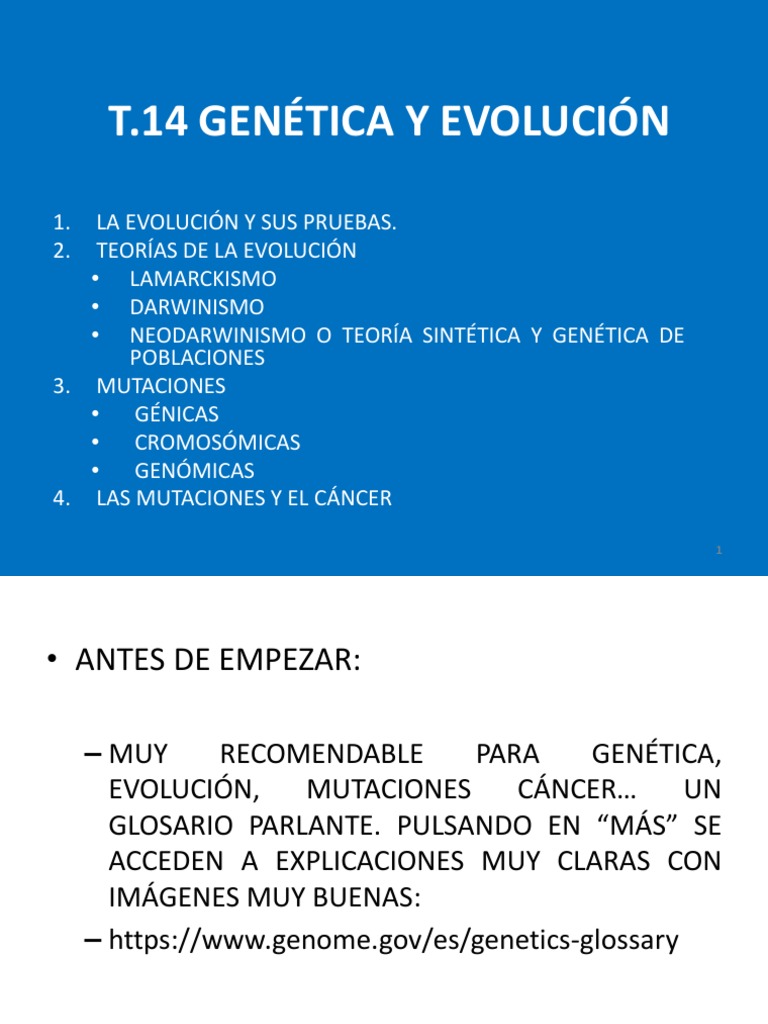 TEMA 14. Genetica y Evolución | PDF | Mutación | Evolución